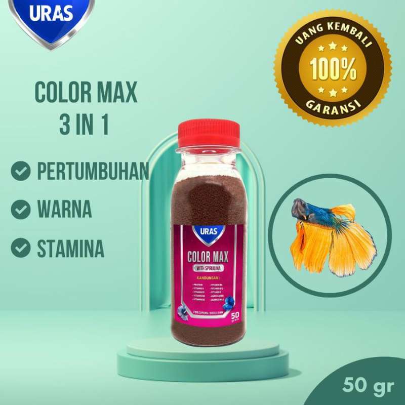 Jual Pakan Ikan Cupang Giant Koi Blue Rim Avatar With Carophyll ...