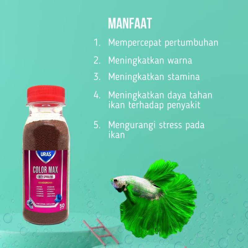 Jual Pakan Ikan Cupang Giant Koi Blue Rim Avatar With Carophyll ...
