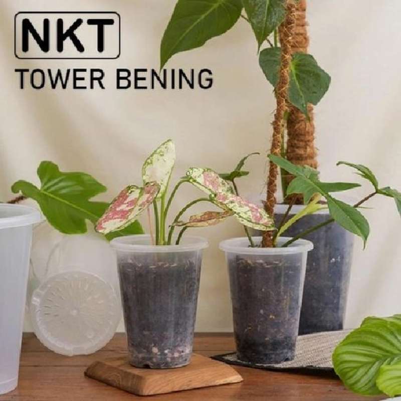 Promo Pot Bunga tanaman Tinggi NKT Tower 21 Bening | Pot Plastik Tinggi ...
