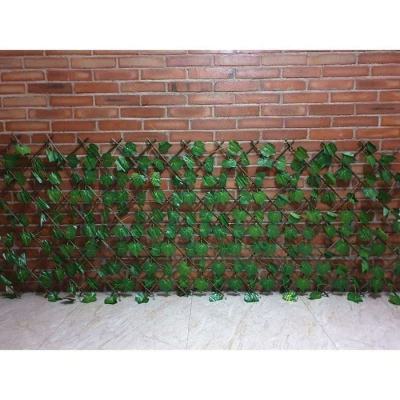Promo daun hias daun rambat pagar sekat pagar partisi daun partisi ...