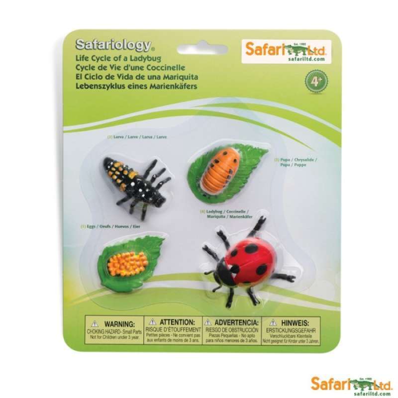 Promo Safari Ltd - Life Cycle Of Lady Bug Set Diskon 33% Di Seller Toys ...