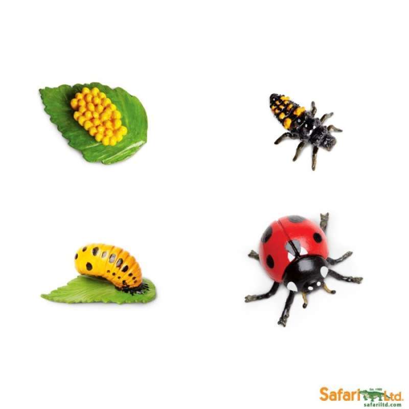 Promo Safari Ltd - Life Cycle Of Lady Bug Set Diskon 33% Di Seller Toys ...