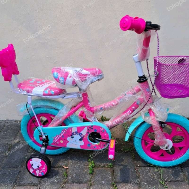 Jual Sepeda Eva Ban Busa Padat Anak Cewe 2 Sd 4 Thn,ringan Buat Belajar ...
