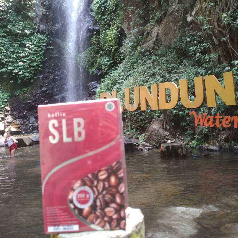 Jual Kopi Slb Kopi Kesehatan Kemasan Box Isi 10 Sachet Di Seller Bakul ...
