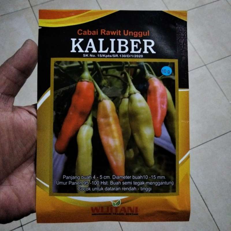 Promo Benih Cabe Rawit Kaliber 10 Gram - Bibit Cabe Kaliber - Crm ...