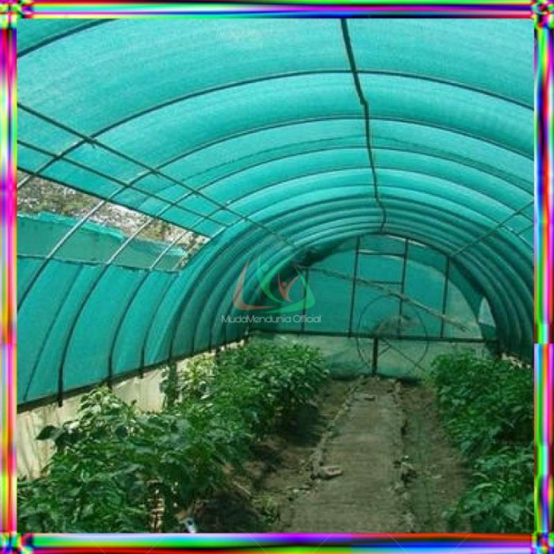 Jual Jaring Kasa Hijau Anti Hama Original Murah - Harga Diskon Juli ...