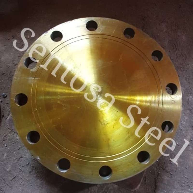 Promo Flange Jis 10k 8 Inch Besi Cs Ns Buta Diskon 23% Di Seller ...