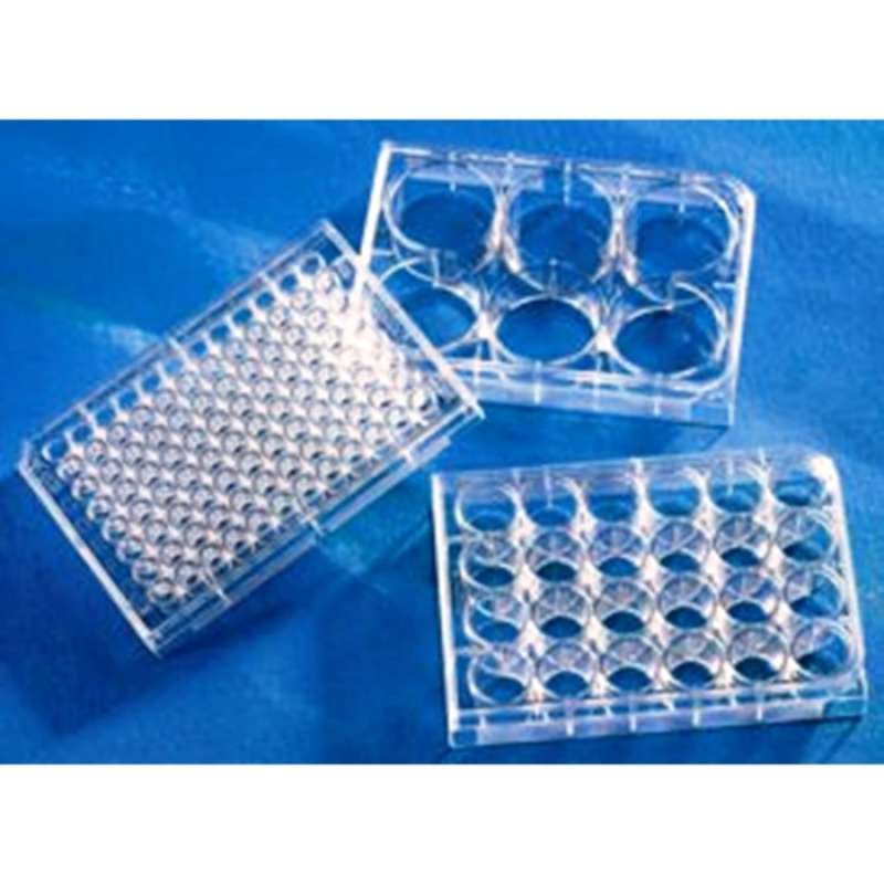 Microplate 96 Well Lengkap Harga Terbaru Juli 2024 | Blibli