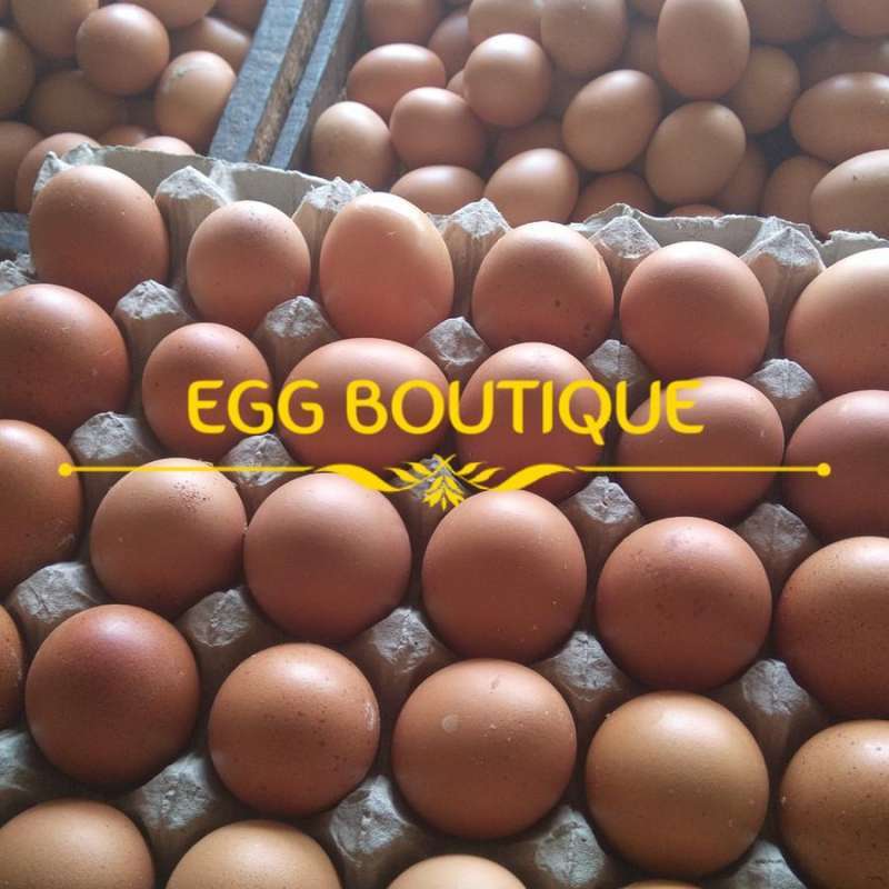 Jual Telur Ayam Negeri (horn) - 1/2 Kg Di Seller Egg Boutique - Rawa ...