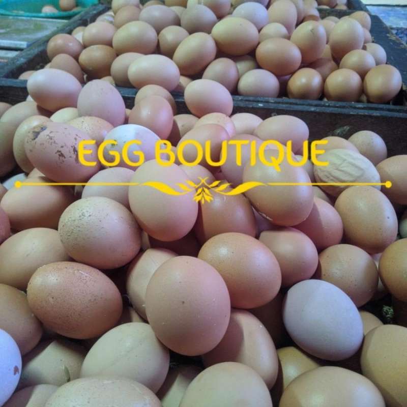 Jual Telur Ayam Negeri (horn) - 1/2 Kg Di Seller Egg Boutique - Rawa ...