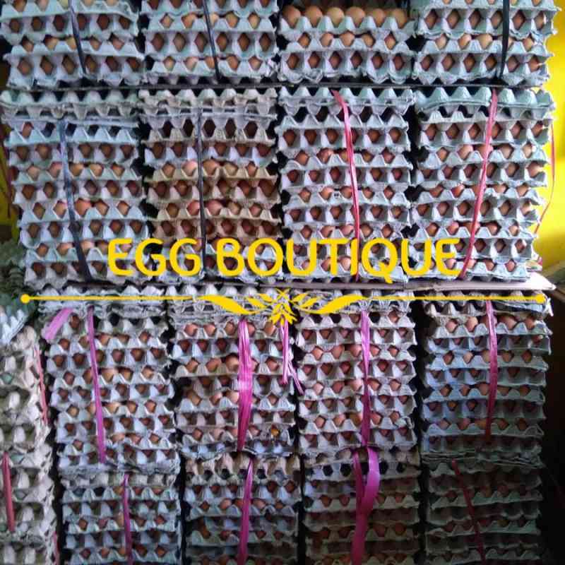 Jual Telur Ayam Negeri (horn) - 1/2 Kg Di Seller Egg Boutique - Rawa ...