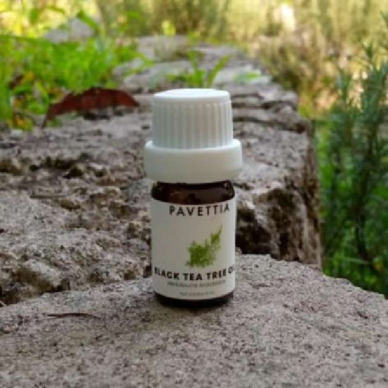 Jual 5 Ml Sampel - Black Tea Tree Oil - Melaleuca Bracteata Di Seller ...