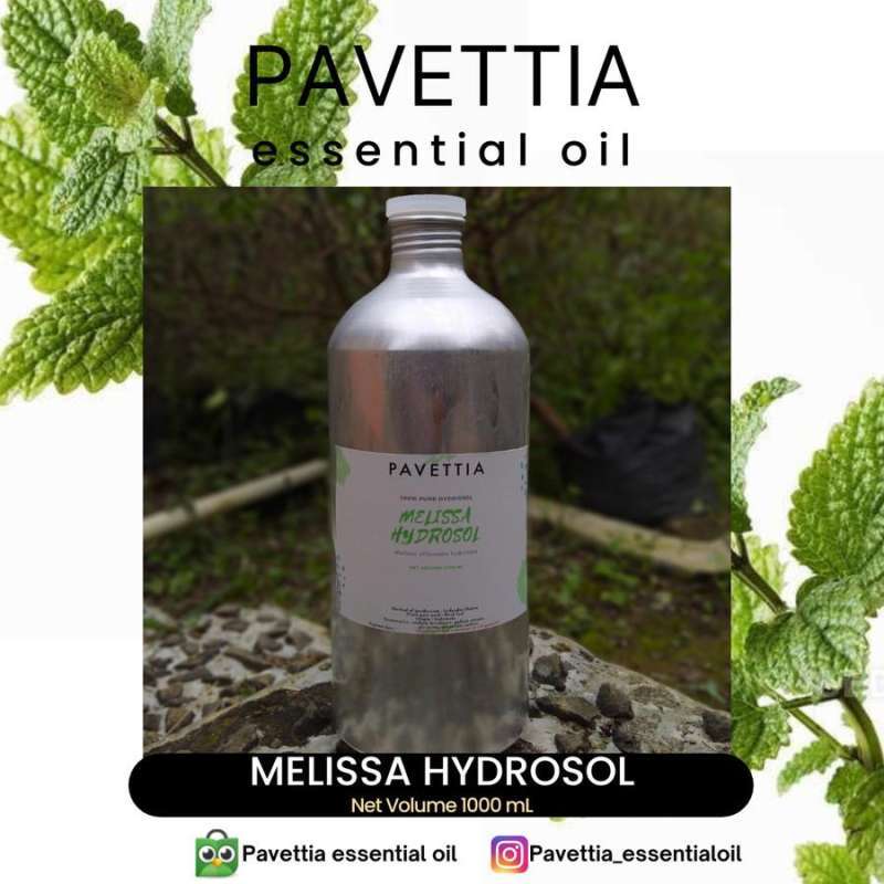 Jual Melissa Hydrosol - Hidrosol Lemon Balm 1000 Ml Di Seller Pavettia ...