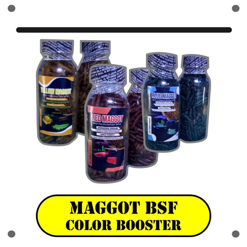 Jual Maggot Bsf Kering Ekstra Color Booster Red Yellow Blue Pakan Ikan ...