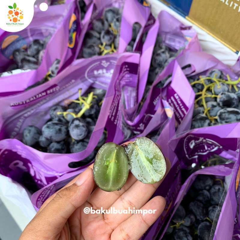 Jual Black Adora Grapes Seedless | Anggur Hitam Tanpa Biji [ @800 ] Di ...
