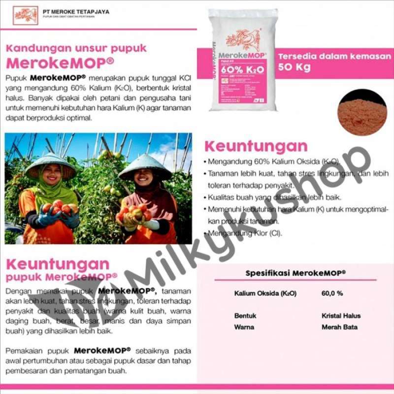 Promo Pupuk Meroke Mop Kcl 50 Kg Kemasan Pabrik Via Gosend Grab Diskon ...