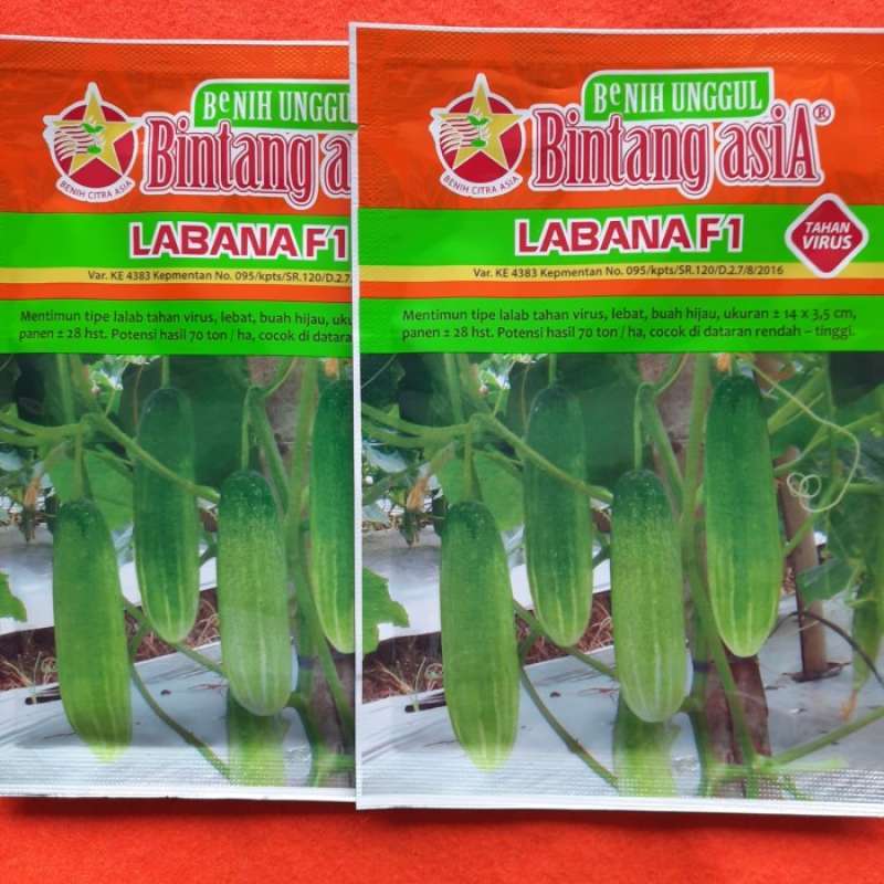 Promo 100% Produk Ori Benih Bibit Timun Lalap Labana F1 Isi 20 Gram ...