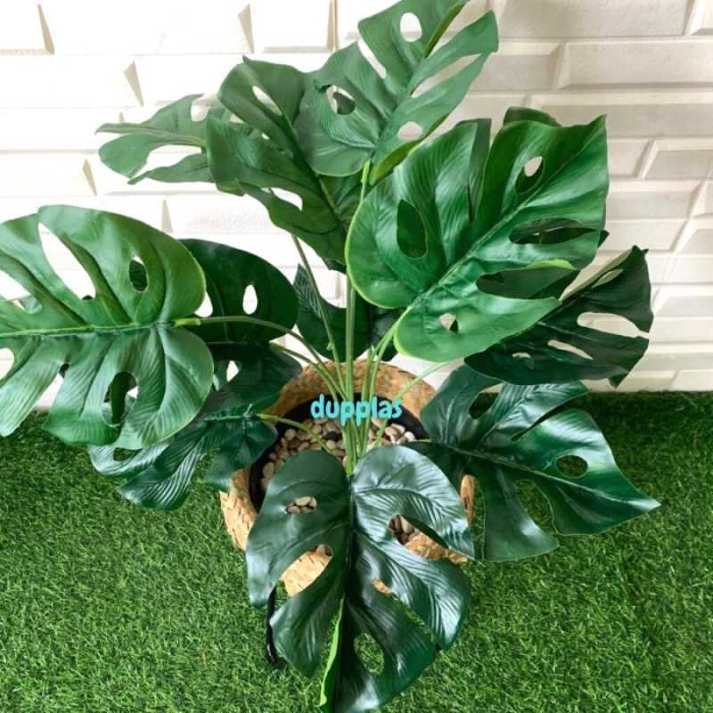 Promo Pohon Daun Monstera X12 Semilatex Keranjang Anyaman Purun ...