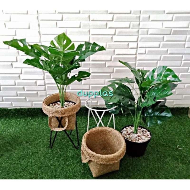 Promo Pohon Daun Monstera X12 Semilatex Keranjang Anyaman Purun ...
