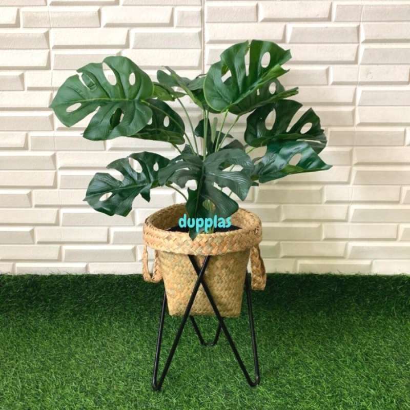 Promo Pohon Daun Monstera X12 Semilatex Keranjang Anyaman Purun ...