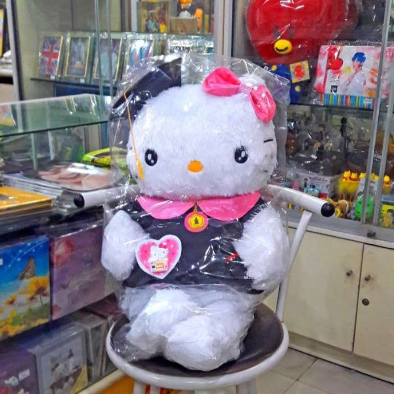 Promo Hello Kitty Doll Graduation Wisuda Diskon 23% Di Seller Fredrinn ...