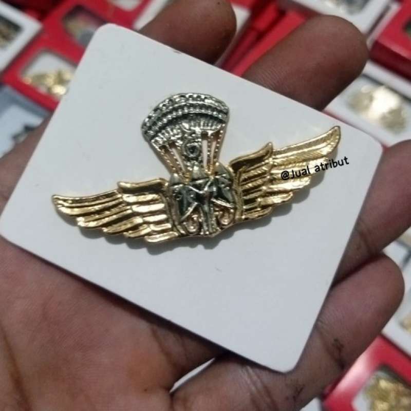 Jual Brevet Pin Wings Para Thailand Exclusive - Polos Di Seller Aghanim ...