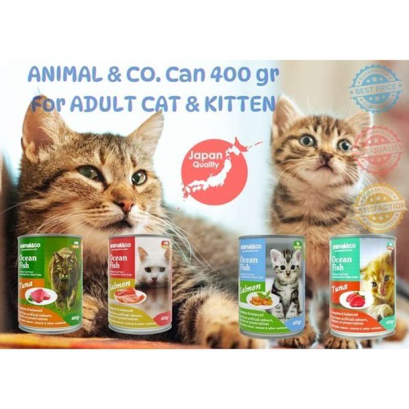Jual Animal & Co Wet Food Can 400 Gr | Makanan Kucing Basah Animal&co ...
