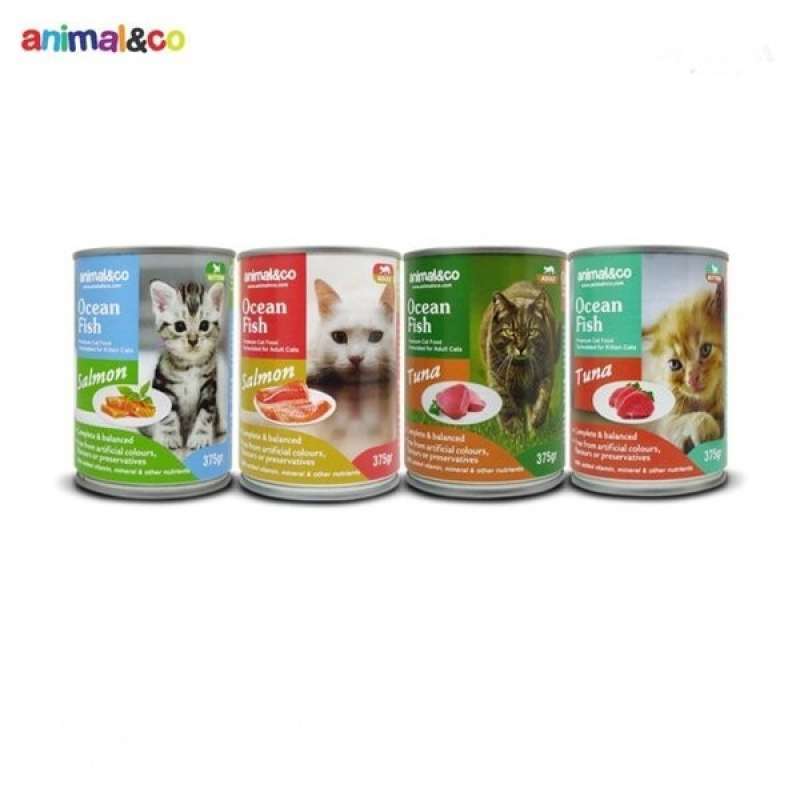 Jual Animal & Co Wet Food Can 400 Gr | Makanan Kucing Basah Animal&co ...