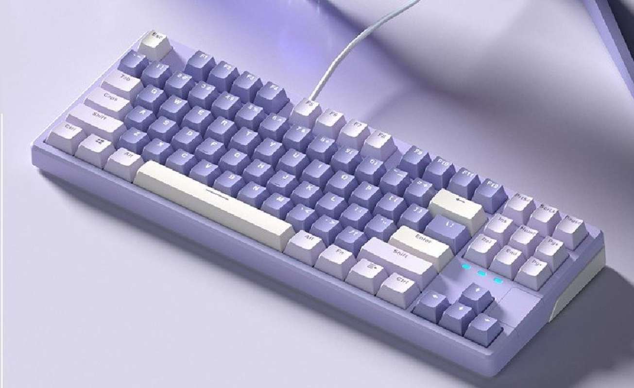 Jual Xinmeng X87 Gasket Mechanical Keyboard Tkl 87 Keys - Wired Type C ...