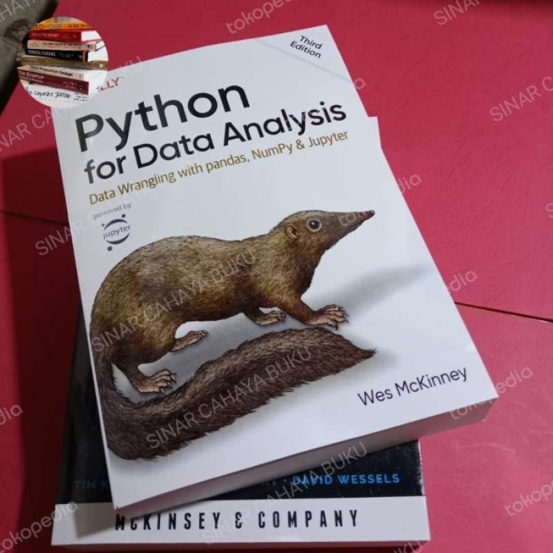 Jual Buku Python For Data Analysis Di Seller Rumix - Cengkareng Timur ... Jual Buku Python For Data Analysis Di Seller Rumix - Cengkareng Timur ...