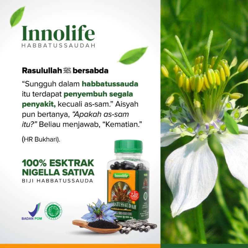 Jual Habbatussauda Kapsul Murni Innolife Habatusauda Habatussauda Asli - 120 Kapsul Di Seller ...