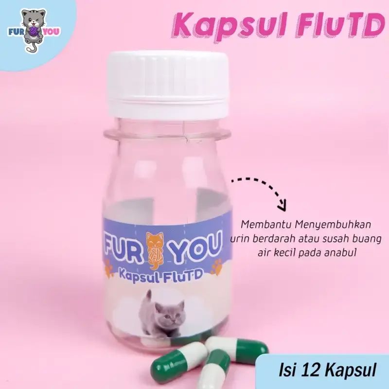 Jual Kencing Kucing Berdarah Terdekat 🏷️ Harga Grosir Murah Terupdate ...