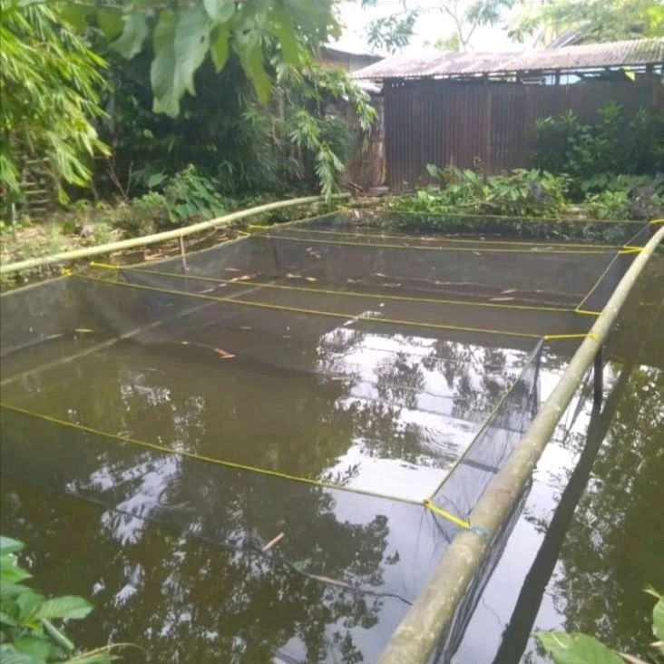 Jual Keramba Waring Ikan 3m X 4m X 1.2m Keramba Jaring Apung Kolam Ikan ...