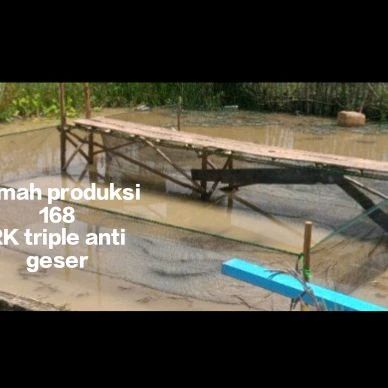 Jual Keramba Waring Ikan 3m X 4m X 1.2m Keramba Jaring Apung Kolam Ikan ...