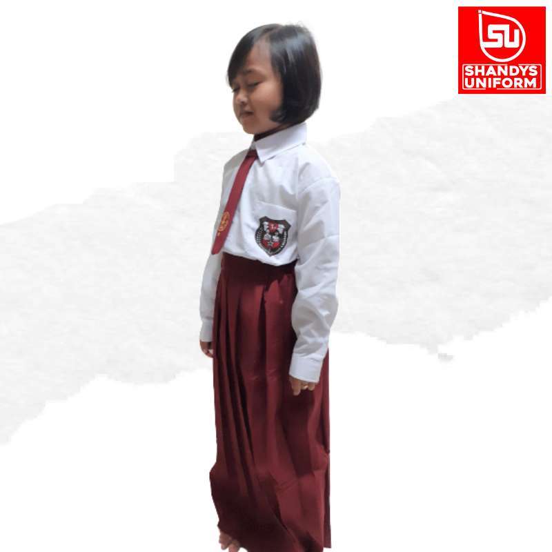 Promo Shandys Uniform I Setelan Seragam Sekolah SD Negeri Putri Diskon ...