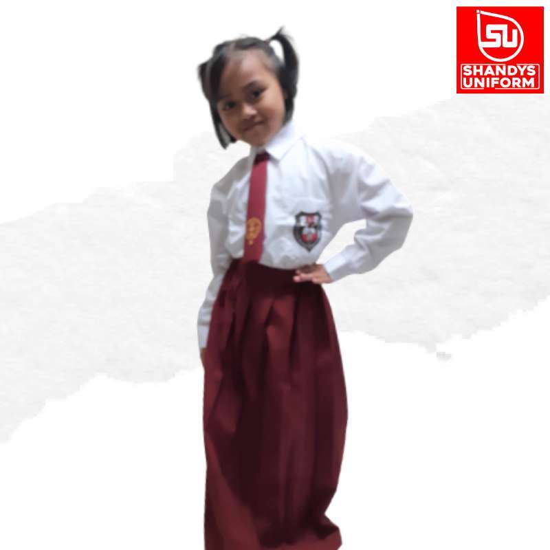 Promo Shandys Uniform I Setelan Seragam Sekolah SD Negeri Putri Diskon ...