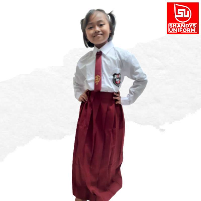 Promo Shandys Uniform I Setelan Seragam Sekolah SD Negeri Putri Diskon ...