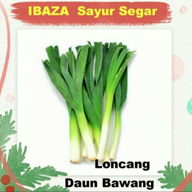Jual Loncang Daun Bawang - bundle 2 ikat Halal di Seller IBAZA ...