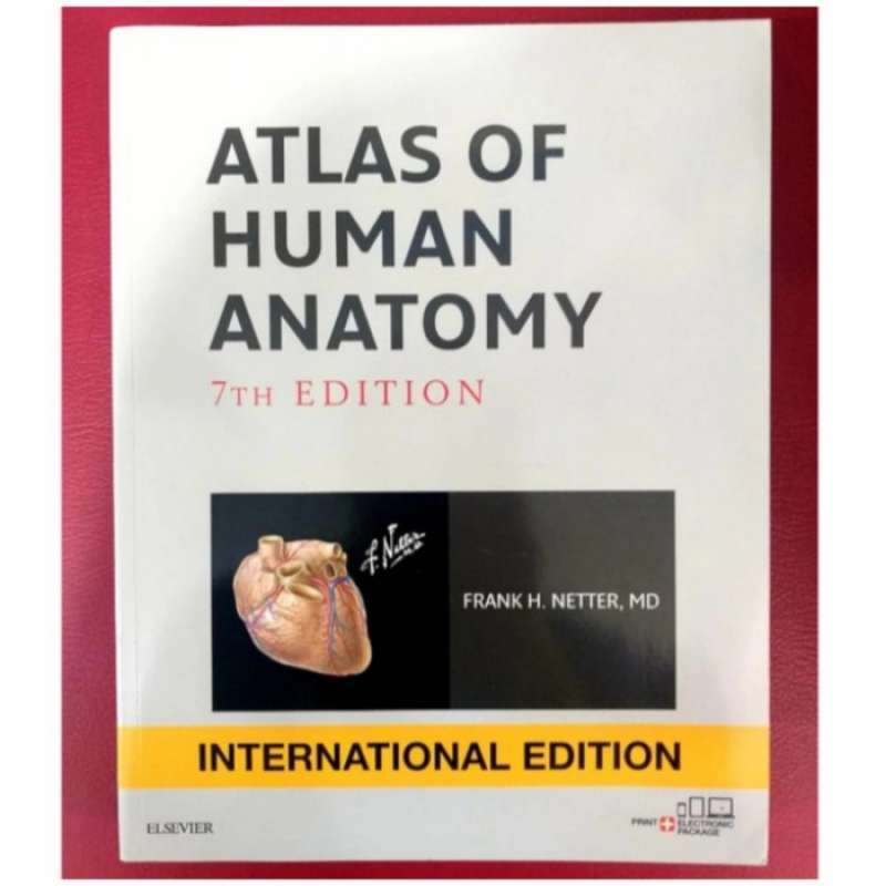 Jual Atlas Of Human Anatomy 7e International Edition - Frank H. Netter Di Seller Indah Library ...