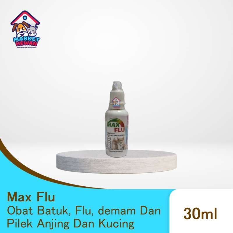 Obat Flu Kucing - Harga Terbaru Juni 2024 | Blibli