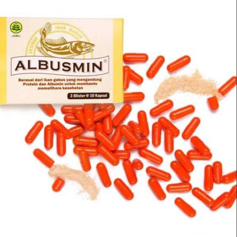 Promo Albusmin pujimin ikan gabus per box Diskon 55% di Seller Jakarta ...