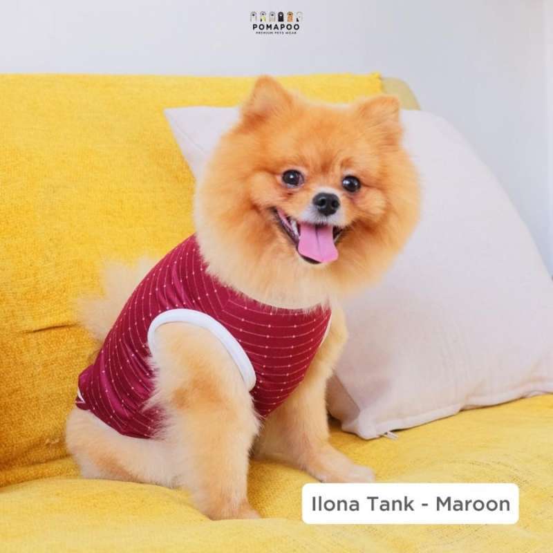 Jual Pomapoo - Baju Kucing Dan Baju Anjing Ilona Tank (1) - Maroon ...