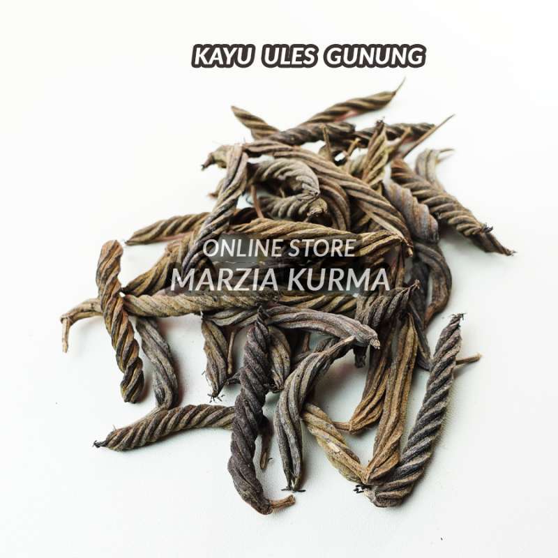 Jual Kayu Ules atau Puteran Kering 100 gr di Seller Jamu Kidul ...