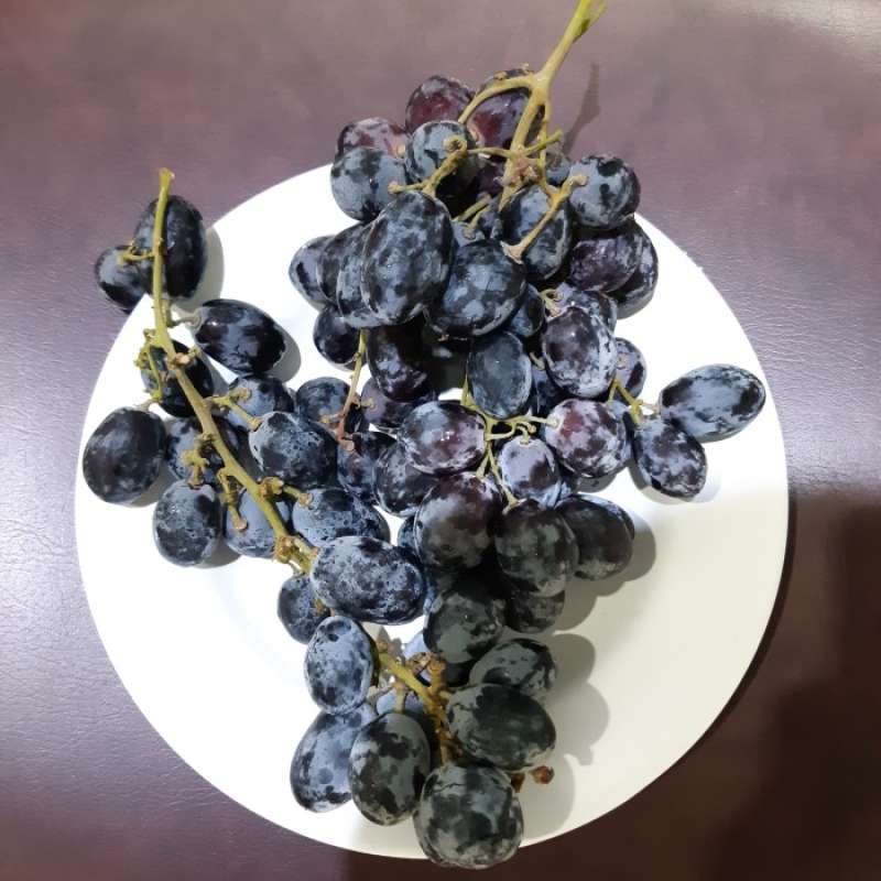 Jual Buah Anggur Hitam Seedless Manis Garing 1Kg Termurah Se Indonesia ...