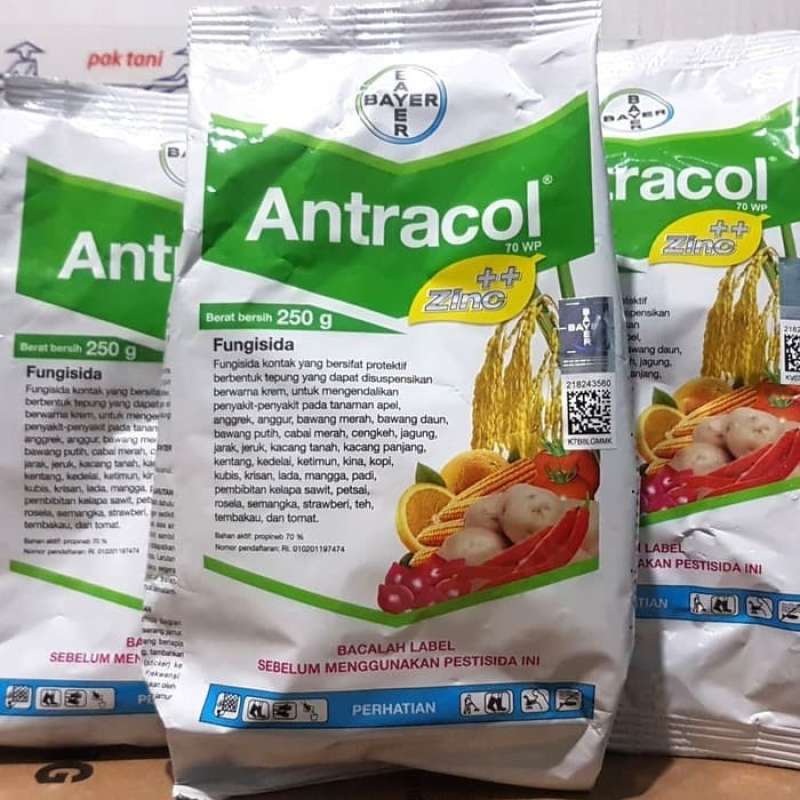 Promo fungisida antracol 250 gr Diskon 28% di Seller Duma Shop ...