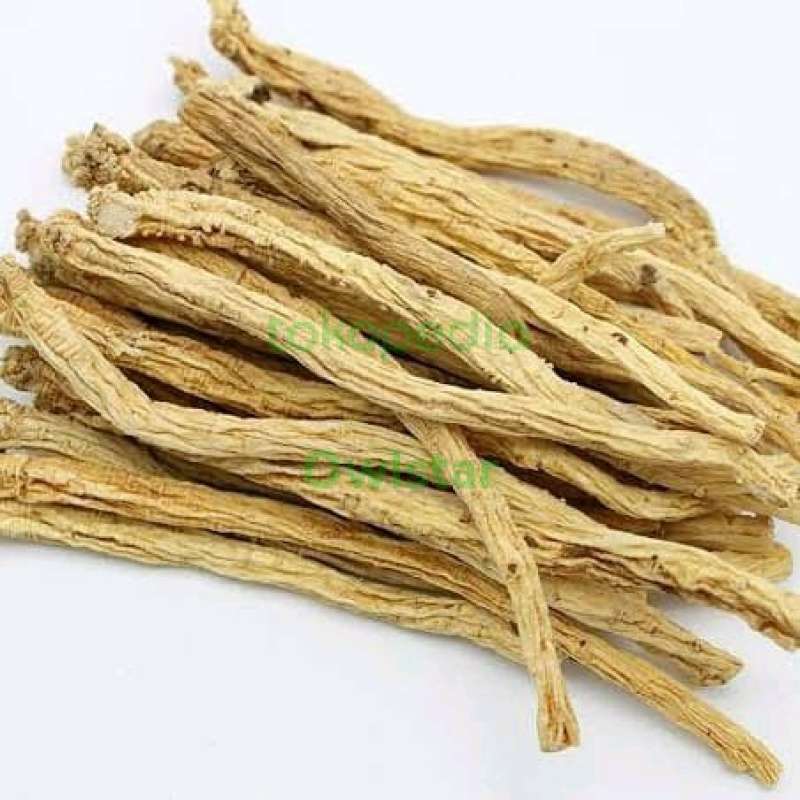 Jual Tong Sim Codonopsis Radix Tong Sim Dang Shen 500 Gr Di Seller Bea ...