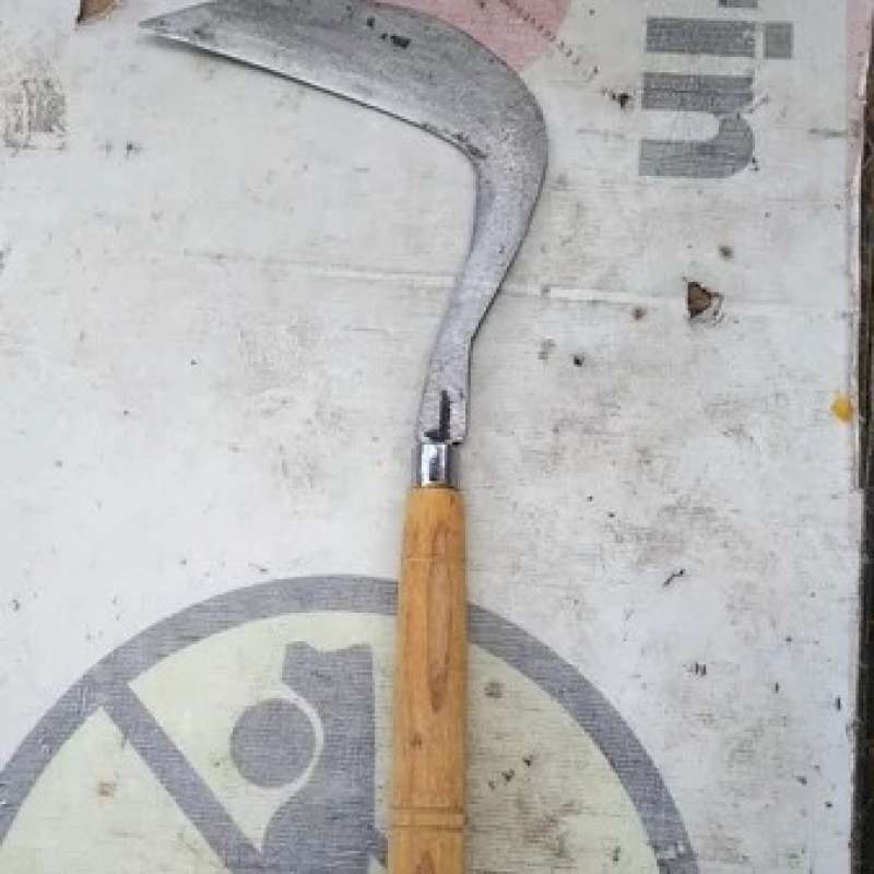 Promo arit rumput sabit padi baja putih Diskon 32% di Seller Sodi Shop ...