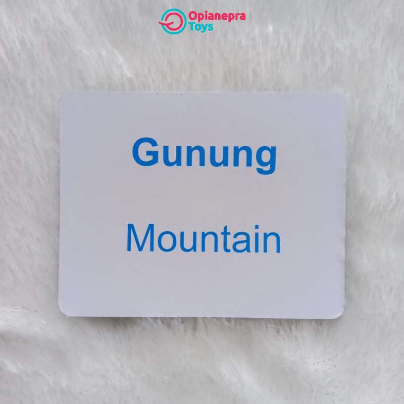 Promo Flash Card Mengenal Alam Dan Tempat Umum Kartu Pintar Glossy ...