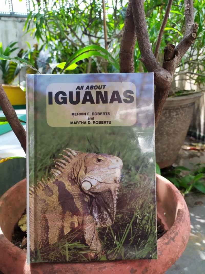 Jual Buku Import All About Iguanas / Buku Langka Iguana Di Seller Pilihan Shop - Harapan Jaya ...
