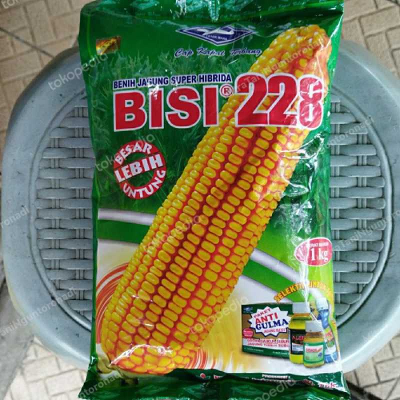 Promo Benih Jagung Super Hibrida Bisi 228 Cap Kapal Terbang 1 Kg Diskon ...